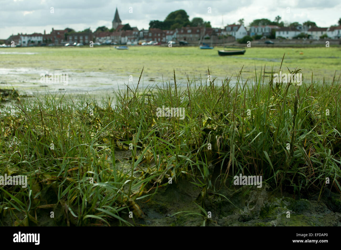Bosham coastal village hi-res stock photography and images - Alamy