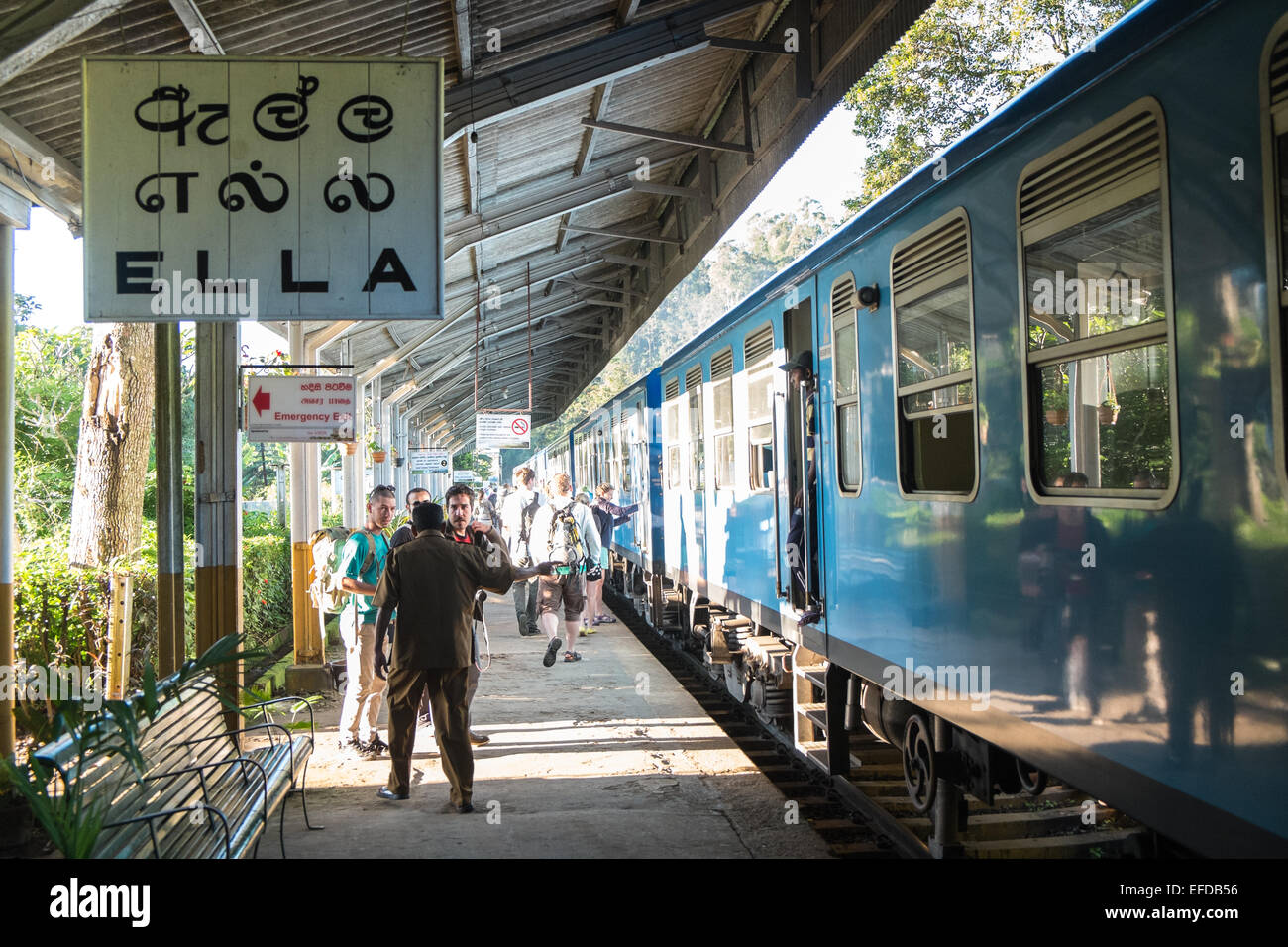 Train trip,journey through tea plantations, countryside in Highlands ...