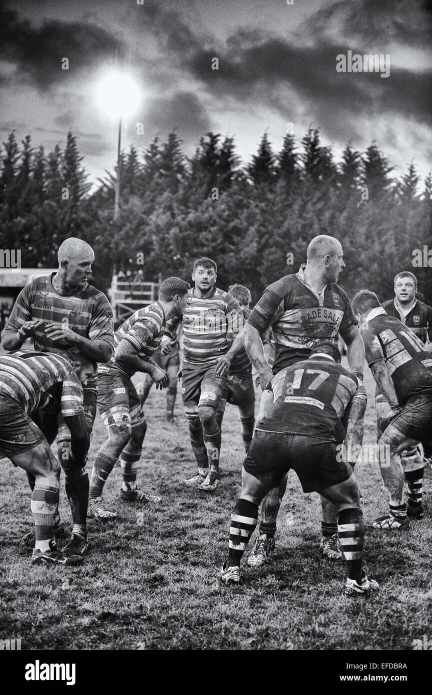 Line Out Rugby High Resolution Stock Photography and Images - Alamy