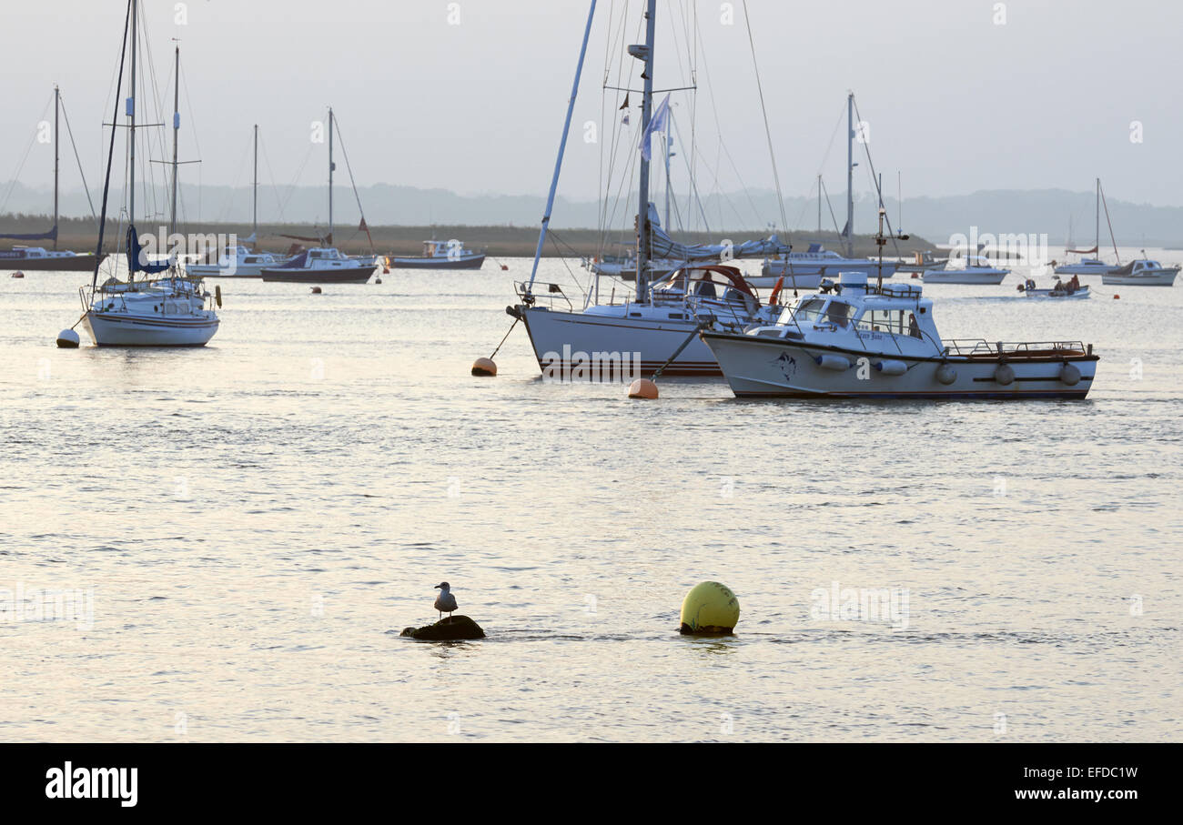 River Deben, Bawdsey Ferry, Suffolk, UK Stock Photo - Alamy
