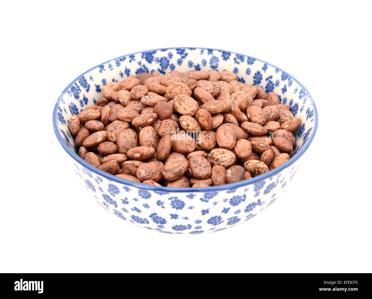 Porcelain pinto hi-res stock photography and images - Alamy