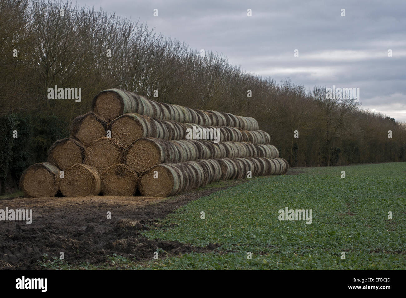 Straw stacks in a field hi-res stock photography and images - Alamy