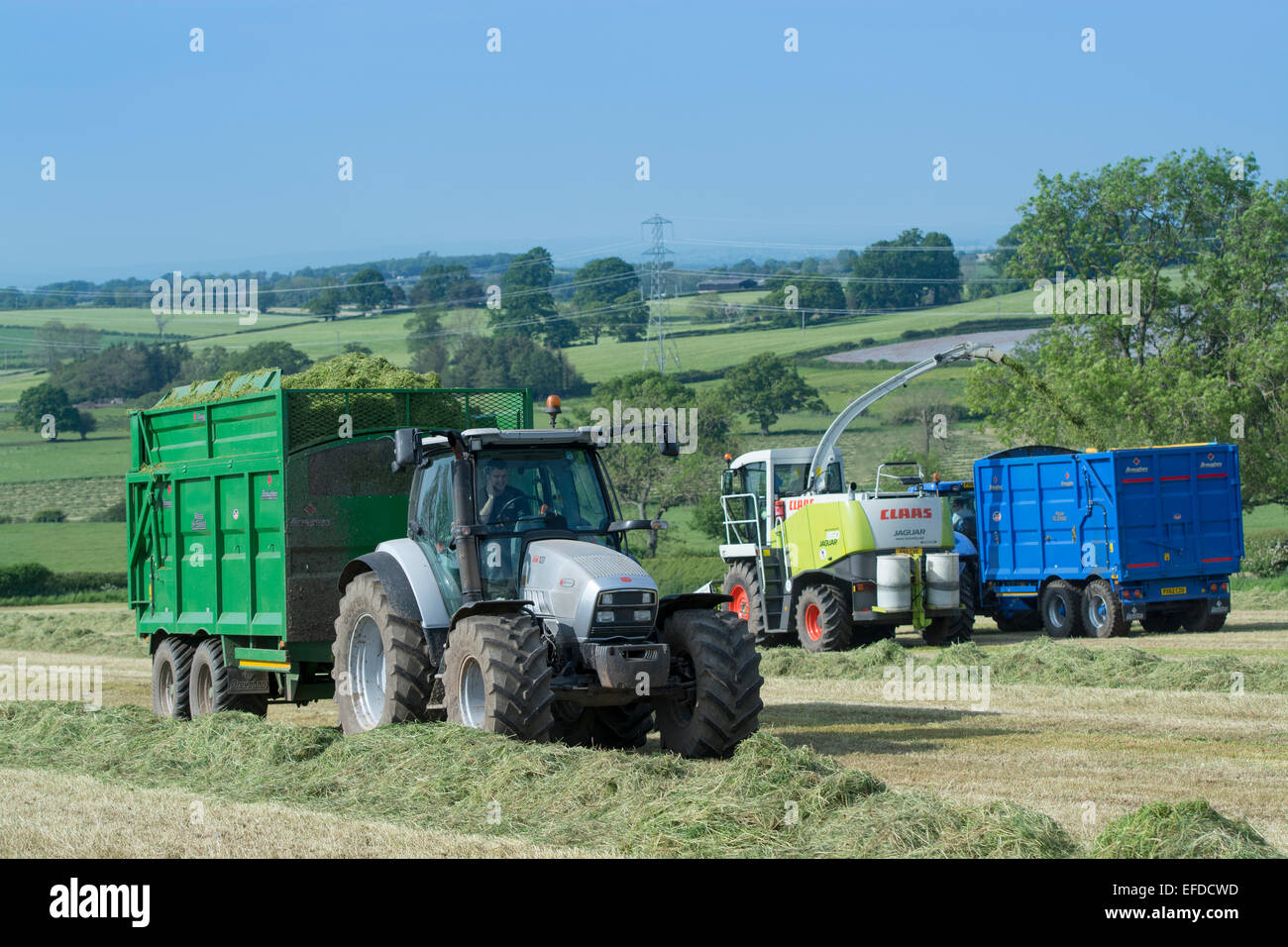 Claas Jaguar 850 self propelled forager chopping grass and loading ...
