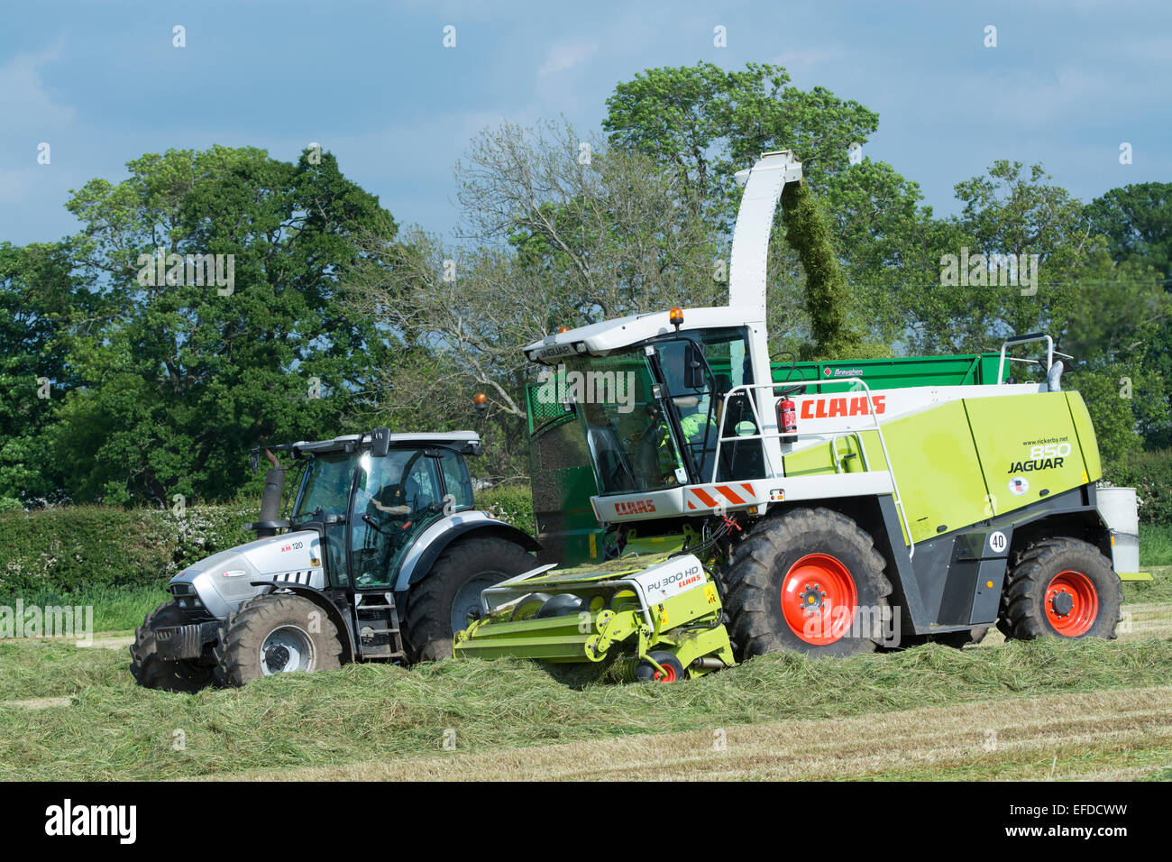 Claas Jaguar 850 self propelled forager chopping grass and loading ...