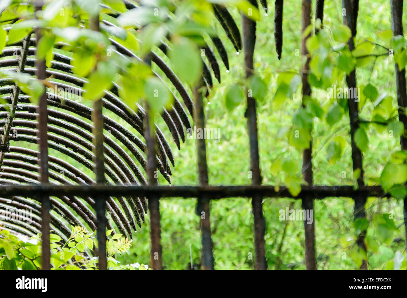 Bars and spikes of a Victorian polar bear enclosure at an abandoned zoo ...