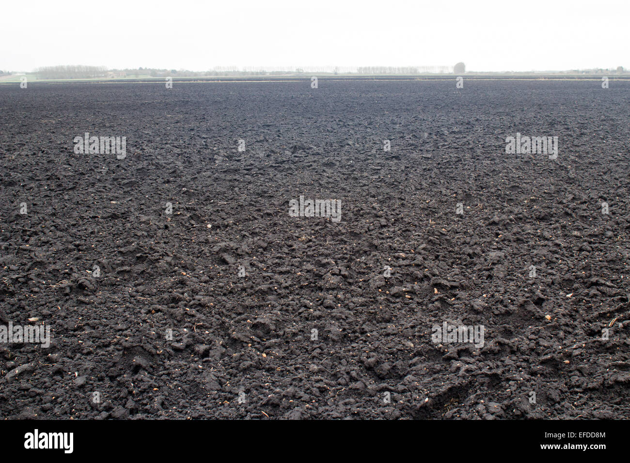 Rich dark soil hi-res stock photography and images - Alamy
