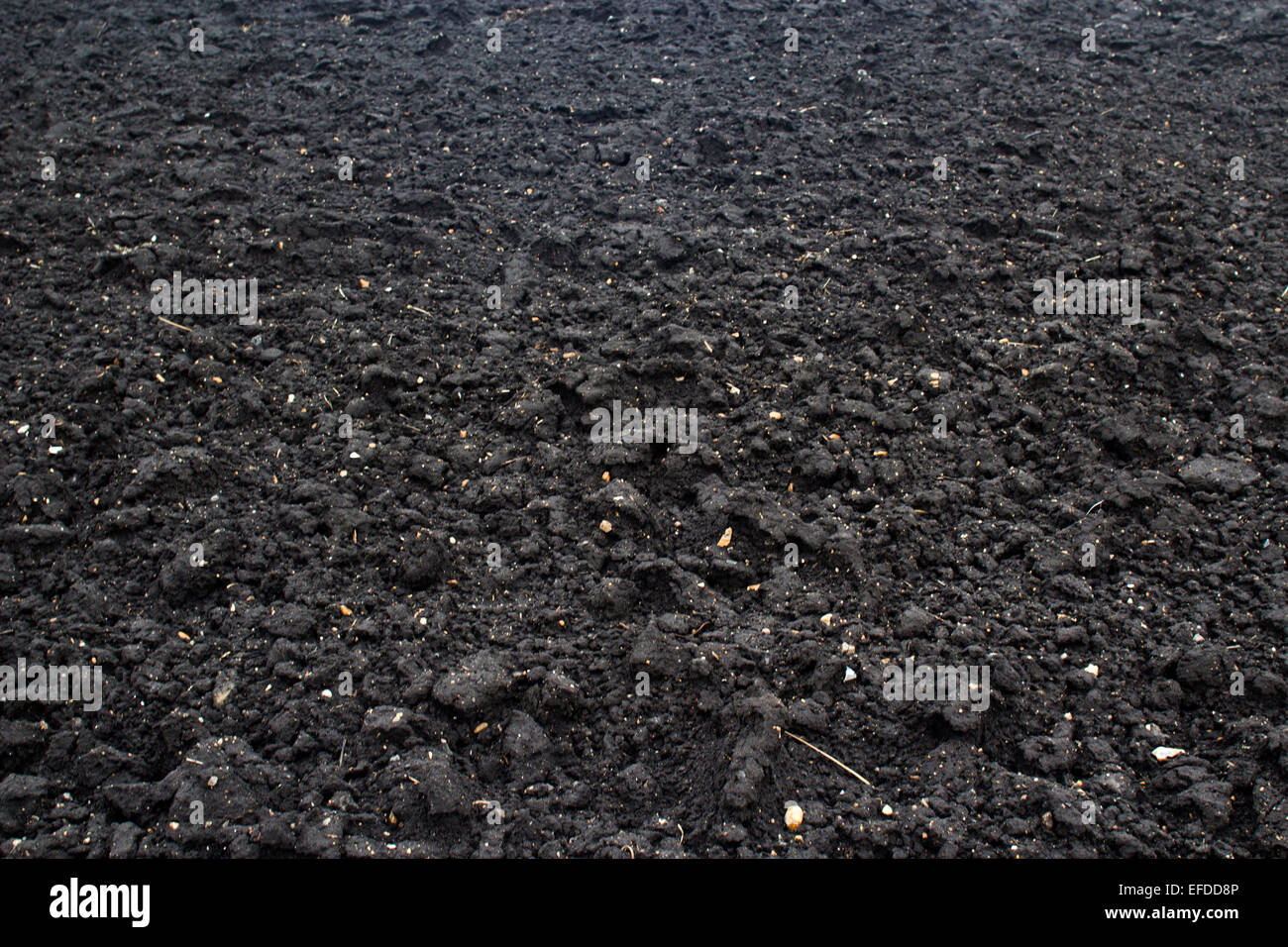 Fen soil hi-res stock photography and images - Alamy