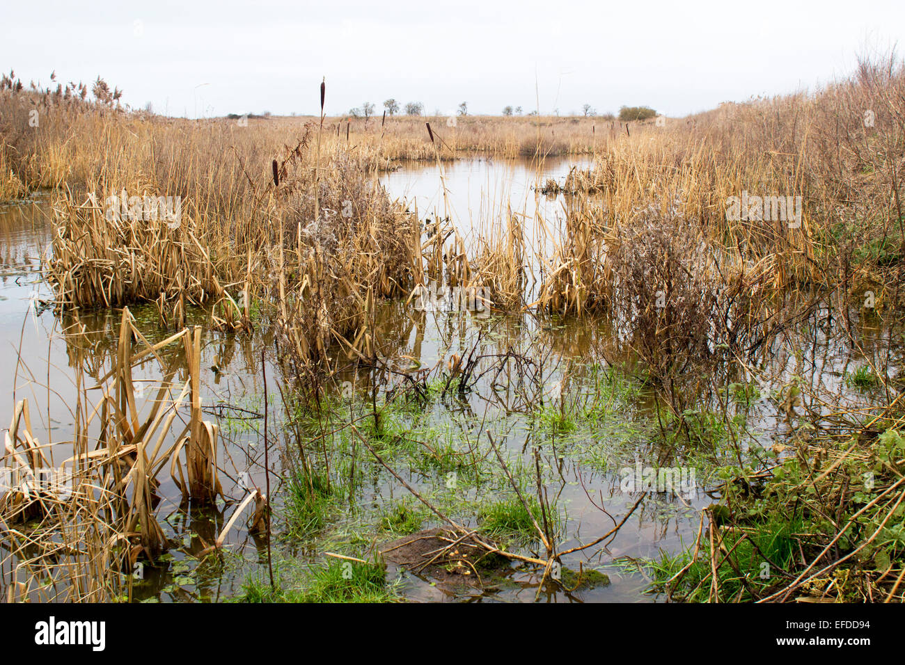 Pump station fens hi-res stock photography and images - Alamy