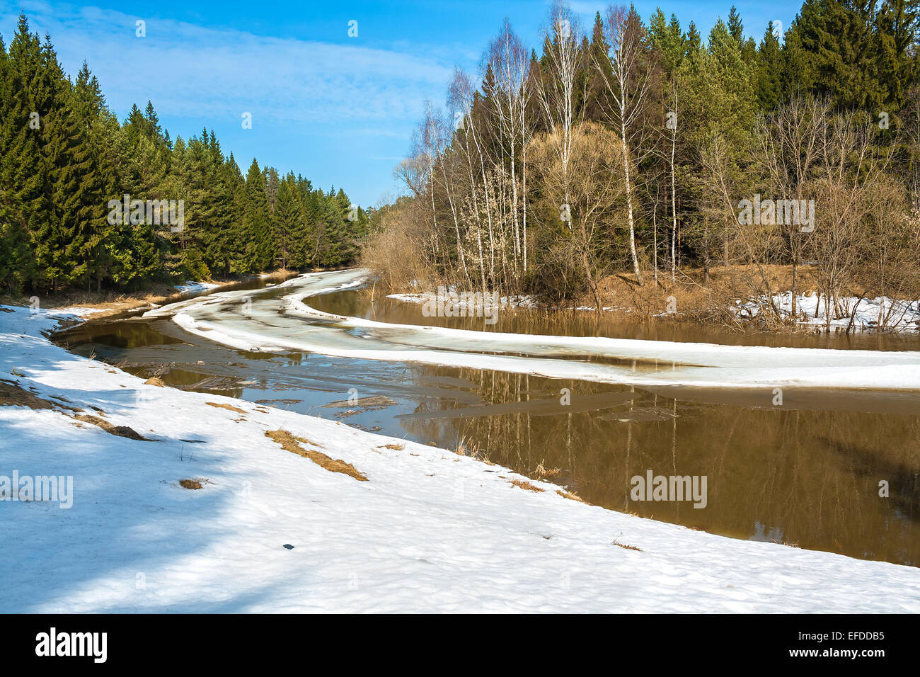 beautiful spring landscape with the river and the forest Stock Photo ...