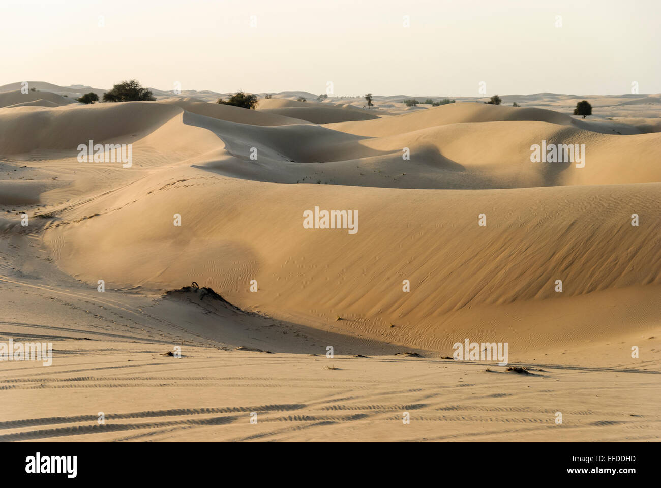 Sand dunes in the desert of the Arabian peninsula Stock Photo - Alamy