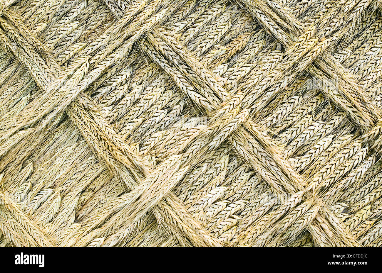 Wead High Resolution Stock Photography and Images - Alamy