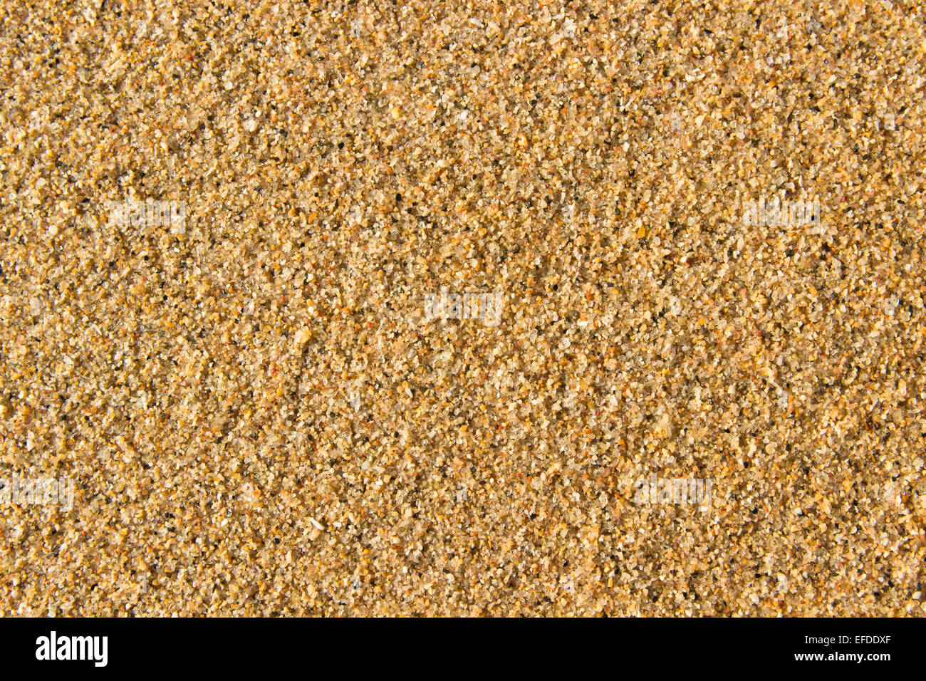 big sand grains background. shore detail Stock Photo - Alamy