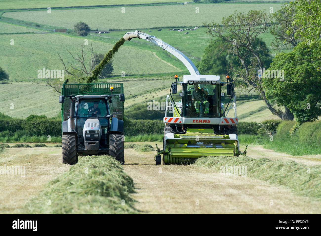 Claas forager hi-res stock photography and images - Alamy