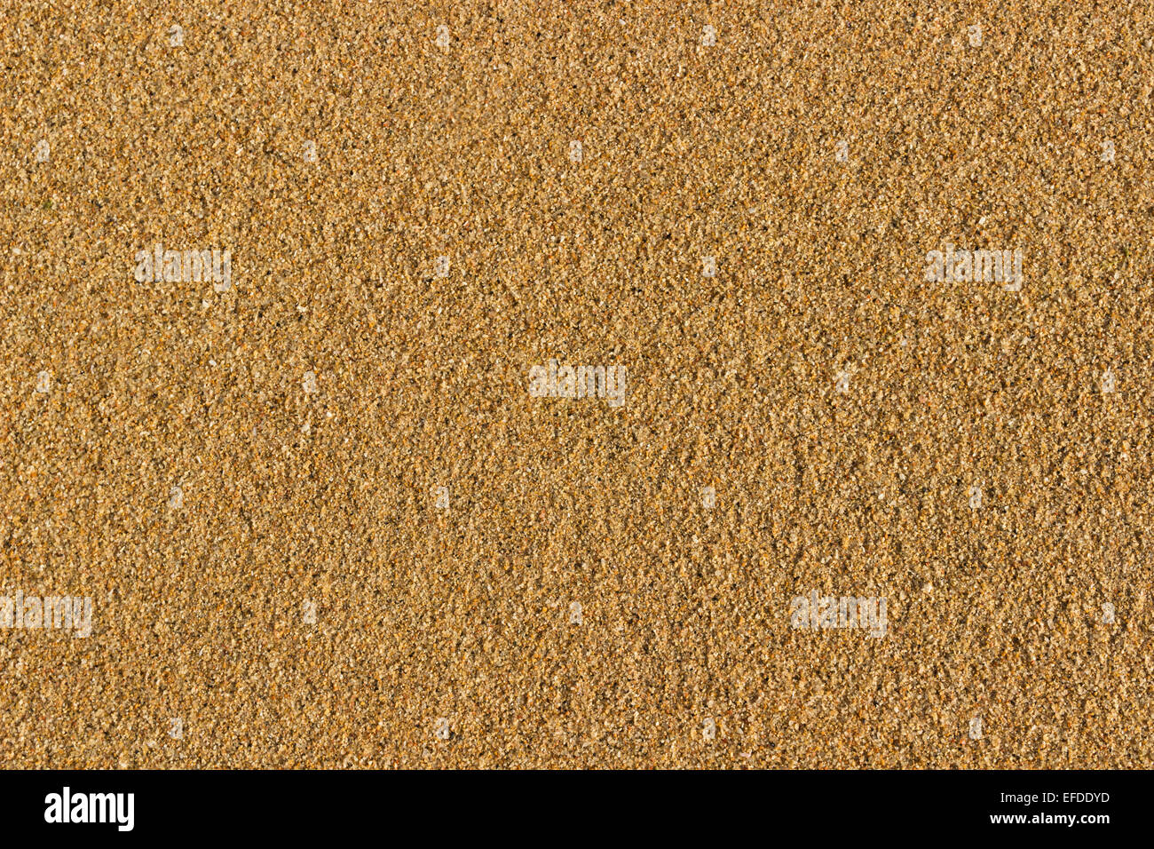 natural sand background. bio brown grains of sand Stock Photo - Alamy