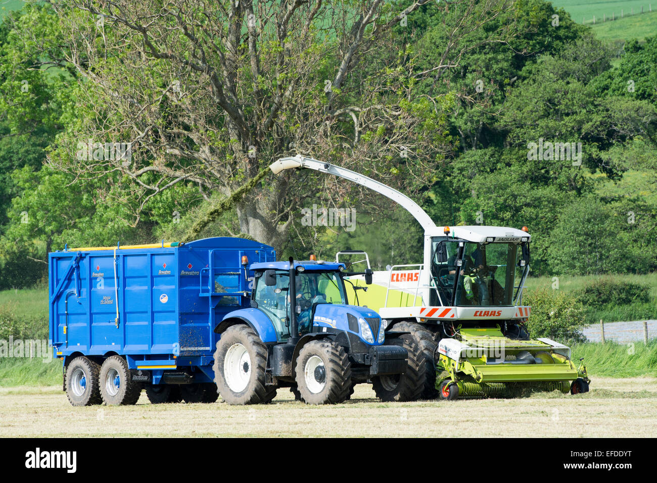 Claas Jaguar 850 self propelled forager chopping grass and loading ...