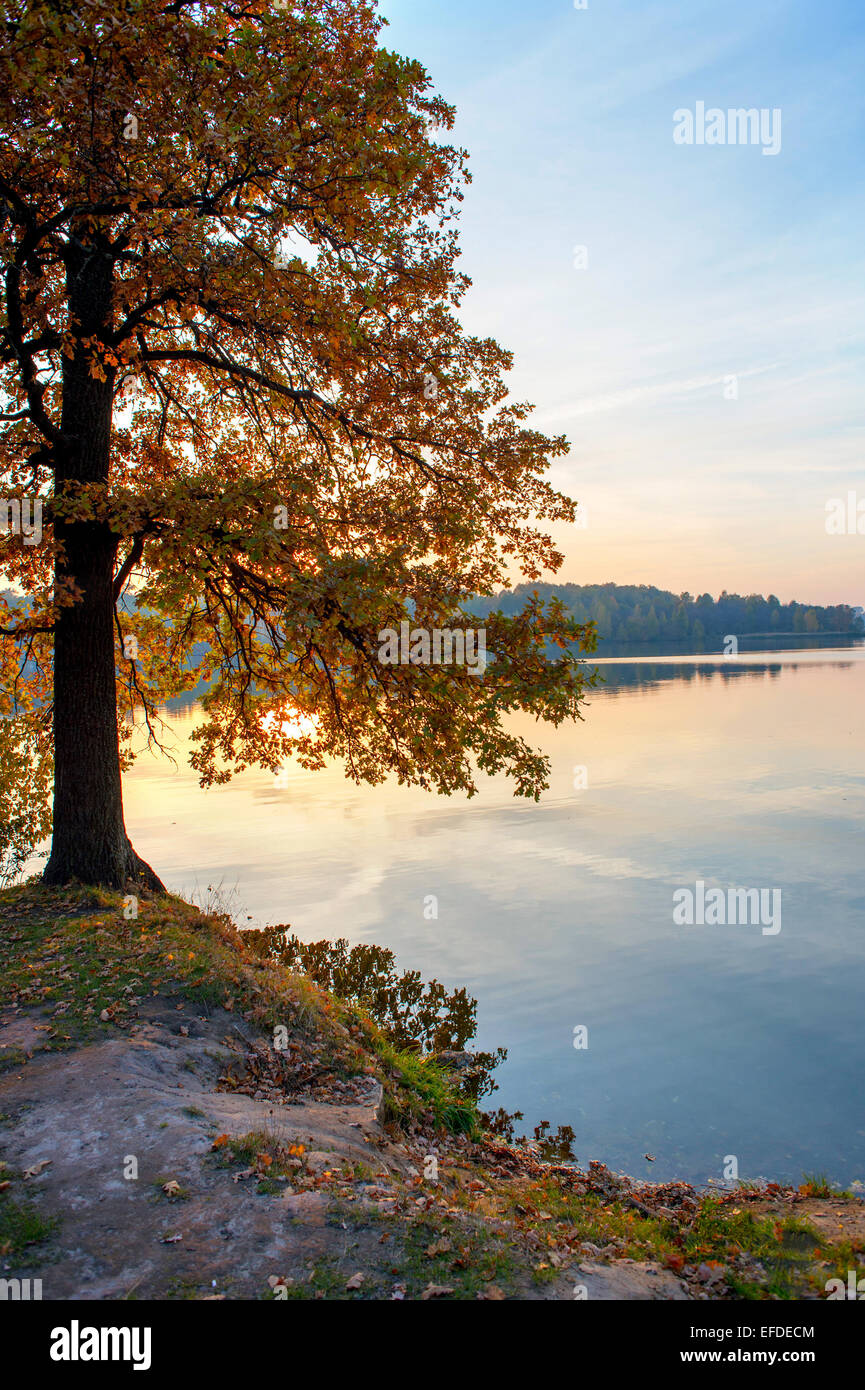 Autumn sunset on the lake with reflection of sun in water Stock Photo ...