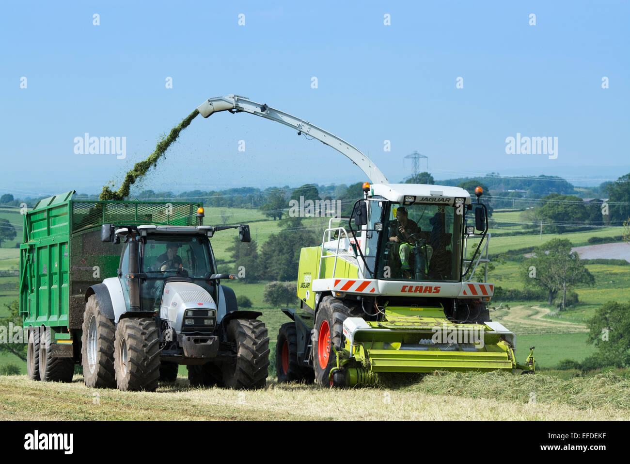 Claas Jaguar 850 self propelled forager chopping grass and loading ...