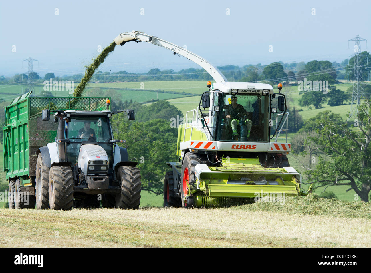 Claas Jaguar 850 self propelled forager chopping grass and loading ...
