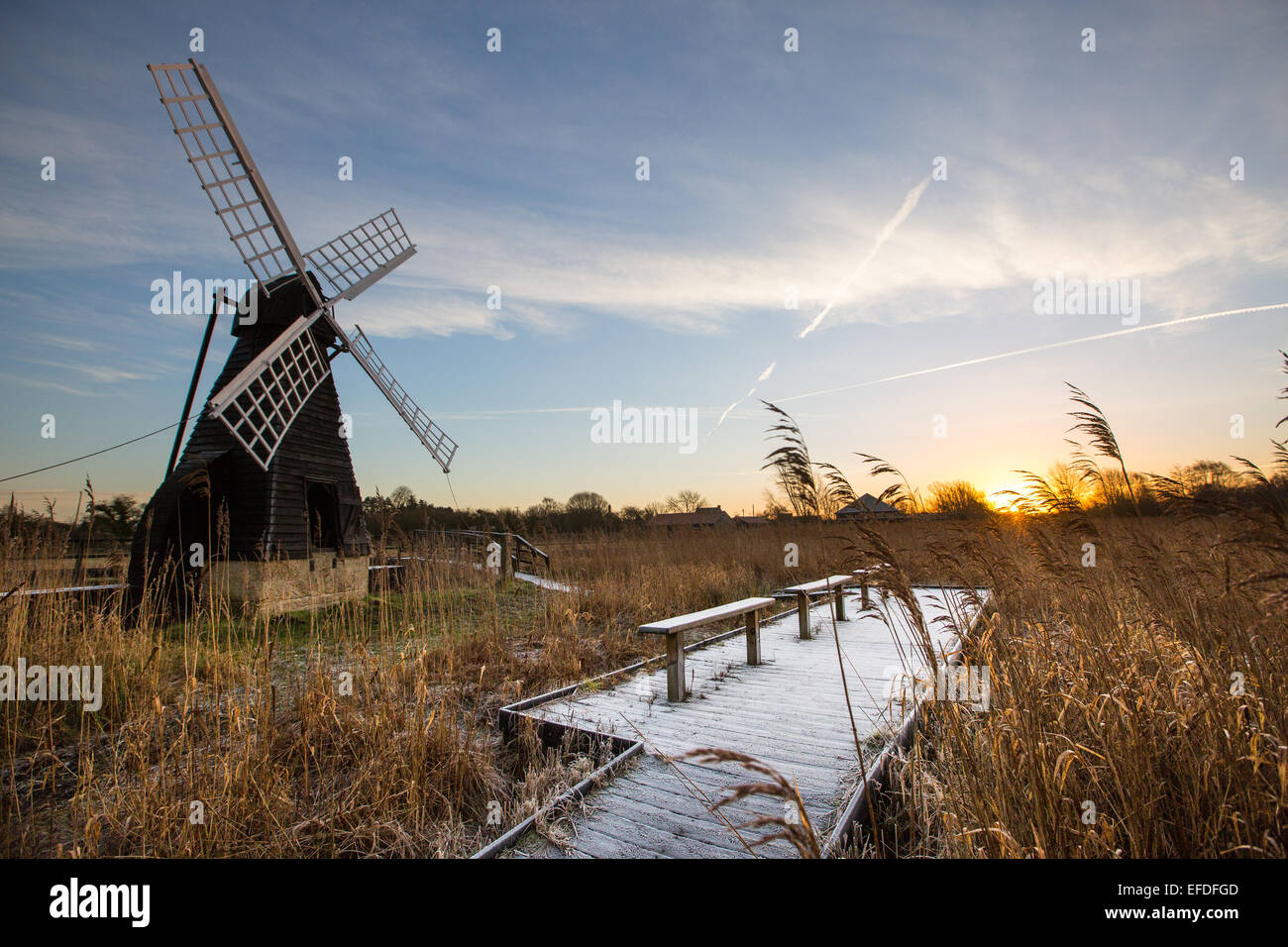 A WINDMILL AT WICKEN FEN,CAMBRIDGESHIRE, ON A COLD FROSTY MORNING Stock ...