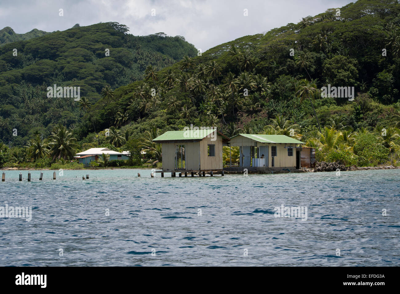 Society Islands, French Polynesia, Raiatea, Faaroa Bay. Traditional ...