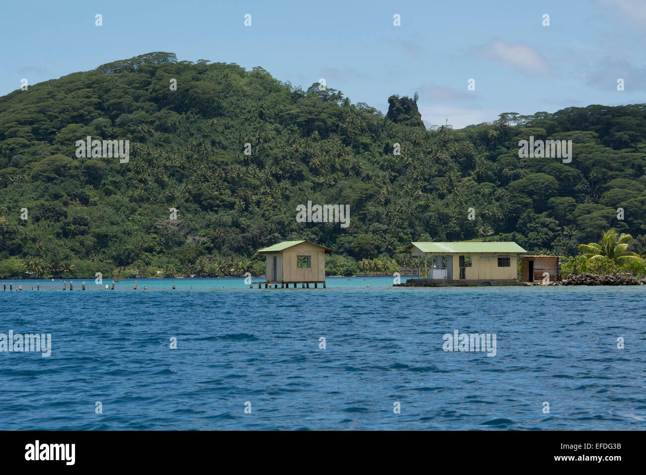 Raiatea french polynesia pearl hi-res stock photography and images - Alamy