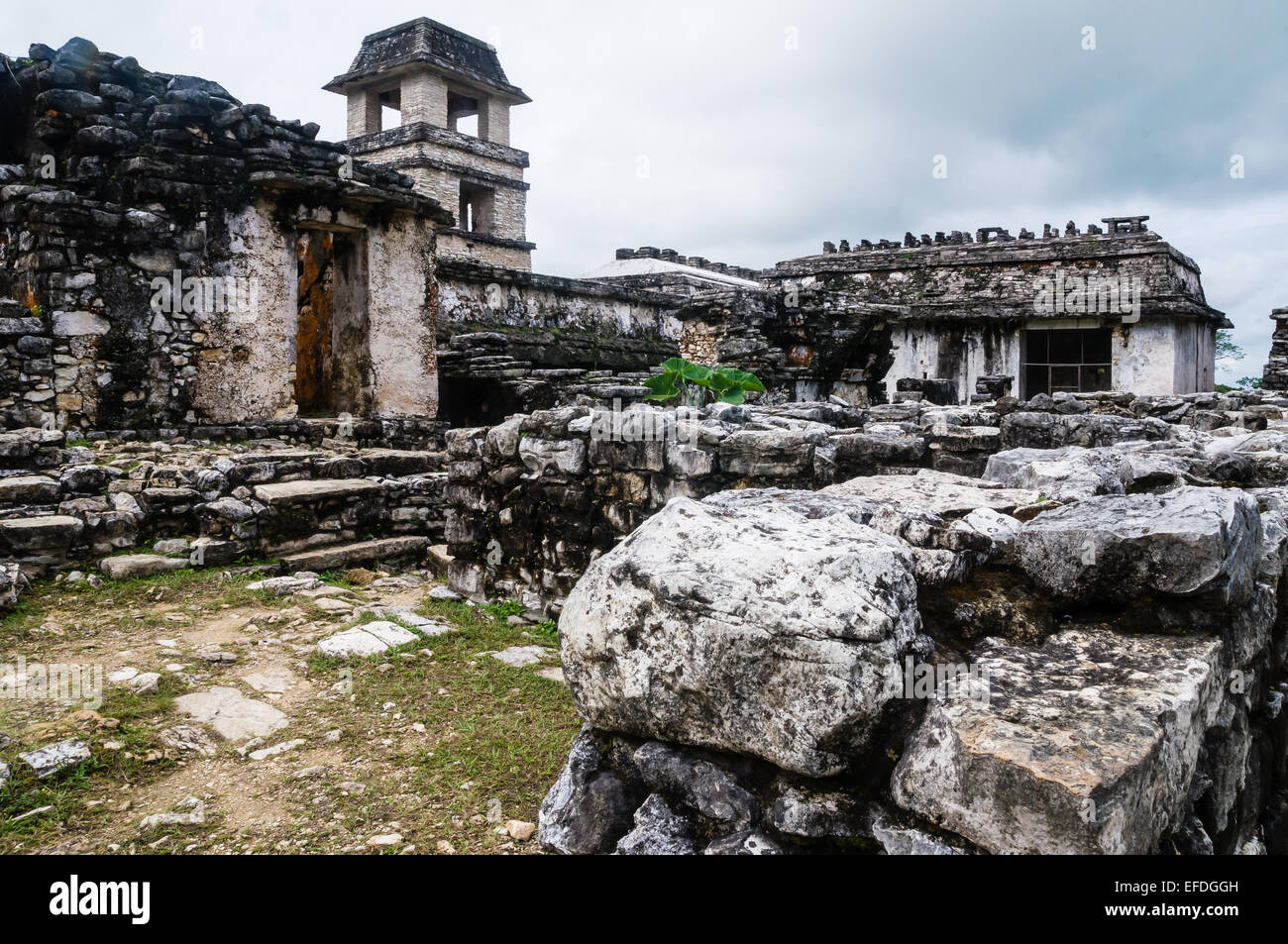 Ruins of Palenque, Mexico Stock Photo - Alamy