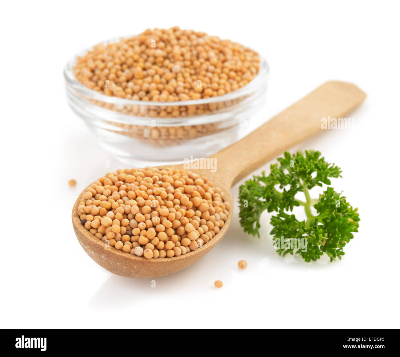 mustard spices in spoon isolated on white background Stock Photo - Alamy