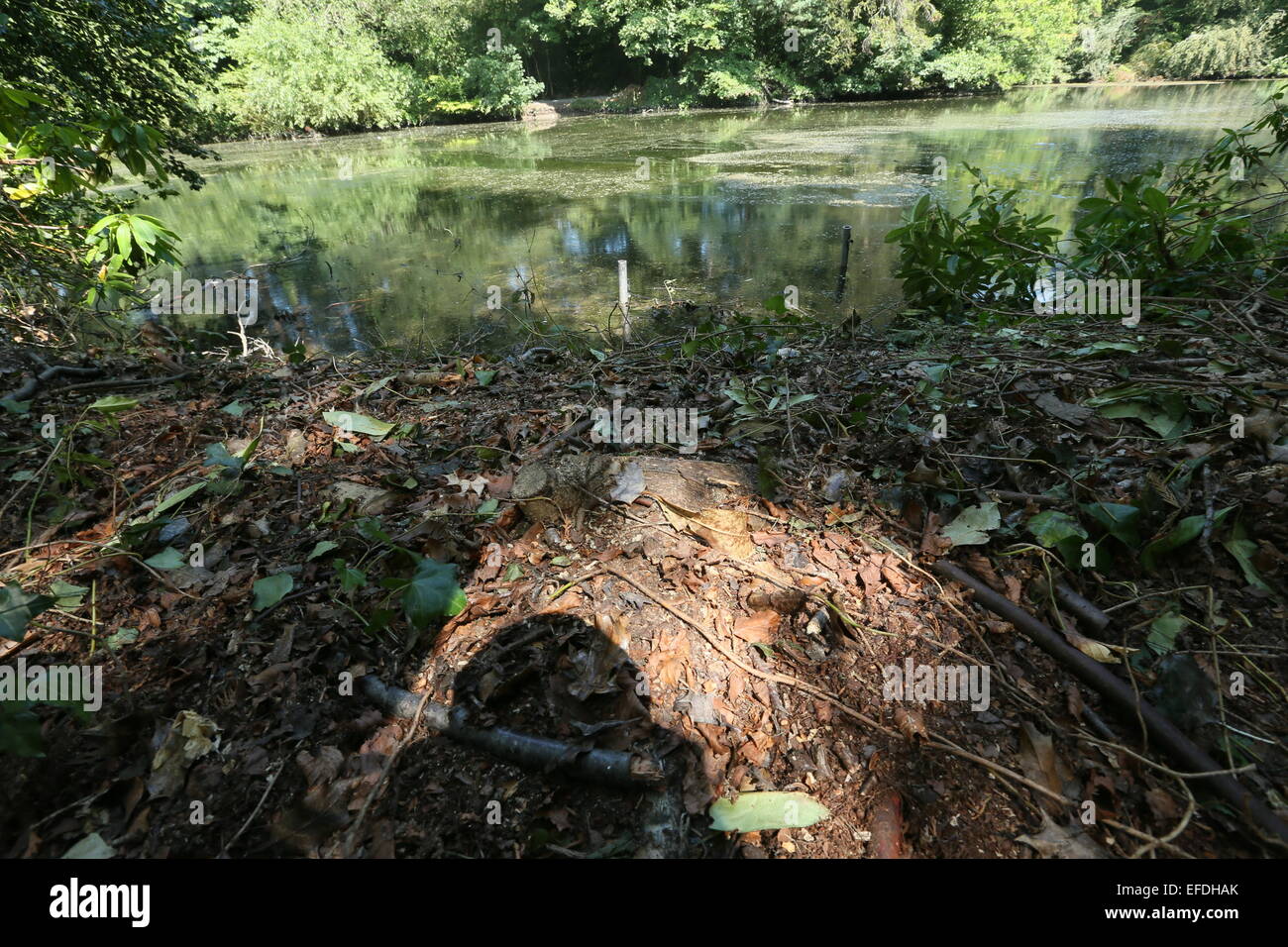 Marlay park concert hi-res stock photography and images - Alamy