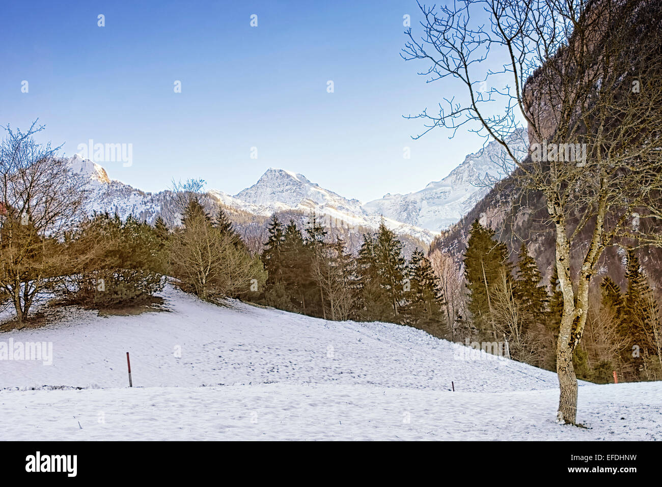 Swiss alpine winter landscape with Eiger, Monch and Jungfrau at horizon ...