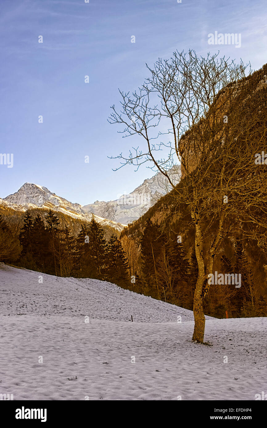 Swiss alpine winter landscape with Monch and Jungfrau peaks at horizon ...