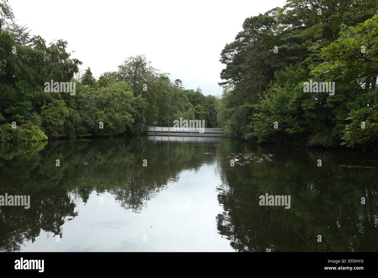 Marlay park dublin concert hi-res stock photography and images - Alamy