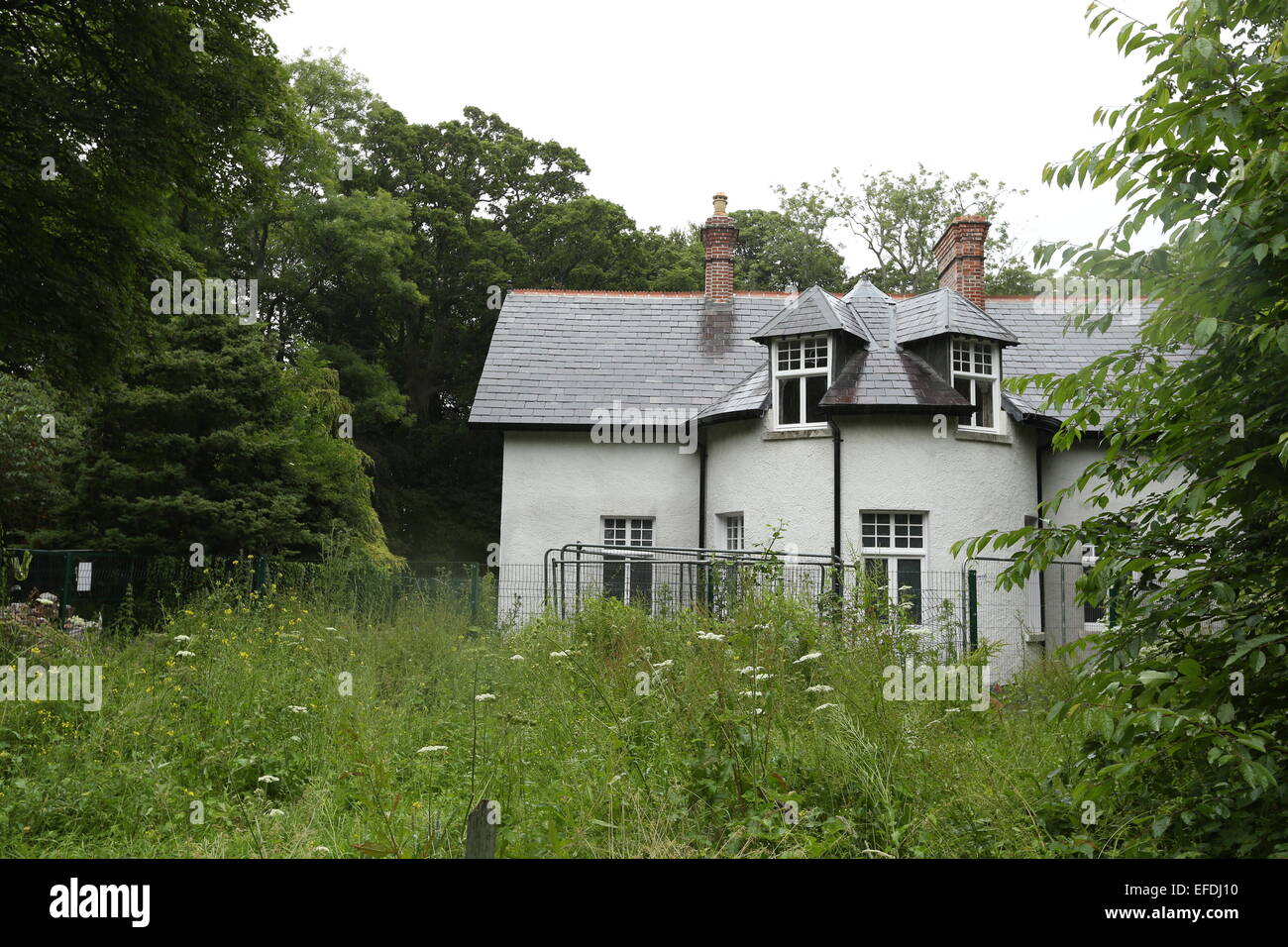 Marlay park dublin concert hi-res stock photography and images - Alamy