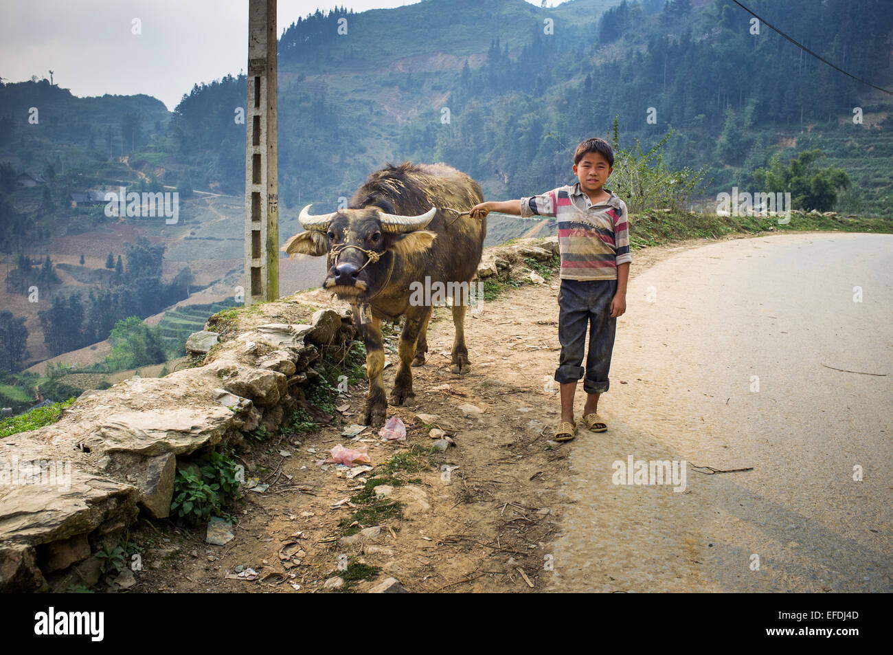 Boy on water buffalo hi-res stock photography and images - Alamy