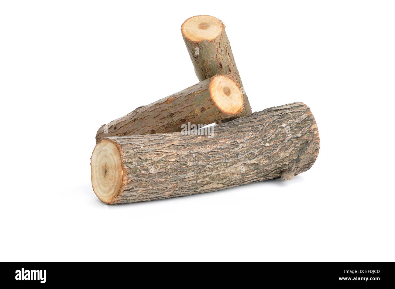 Long willow hi-res stock photography and images - Alamy