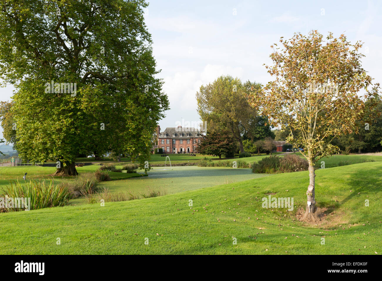 Trees and pond in grounds of Llansantffraed Court Hotel, Clytha ...