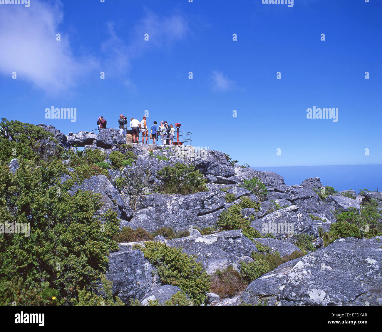 Tourists at lookout, Table Mountain, Cape Town, Western Cape Province ...