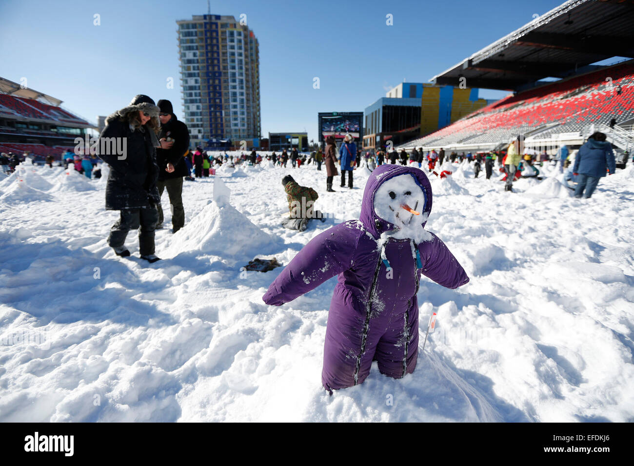 Ottawa, TD Place Stadium of Lansdowne Park in Ottawa. 1st Feb, 2015 ...