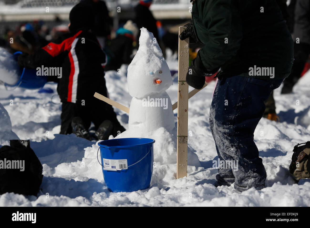 Ottawa, TD Place Stadium of Lansdowne Park in Ottawa. 1st Feb, 2015 ...