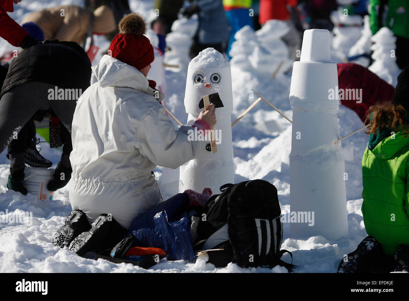 Ottawa, TD Place Stadium of Lansdowne Park in Ottawa. 1st Feb, 2015 ...
