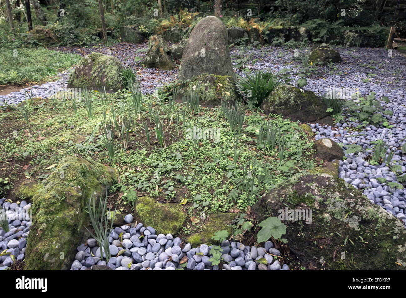 Muso Soseki Zen garden, Zuisen-ji temple, Kamakura, Japan Stock Photo ...