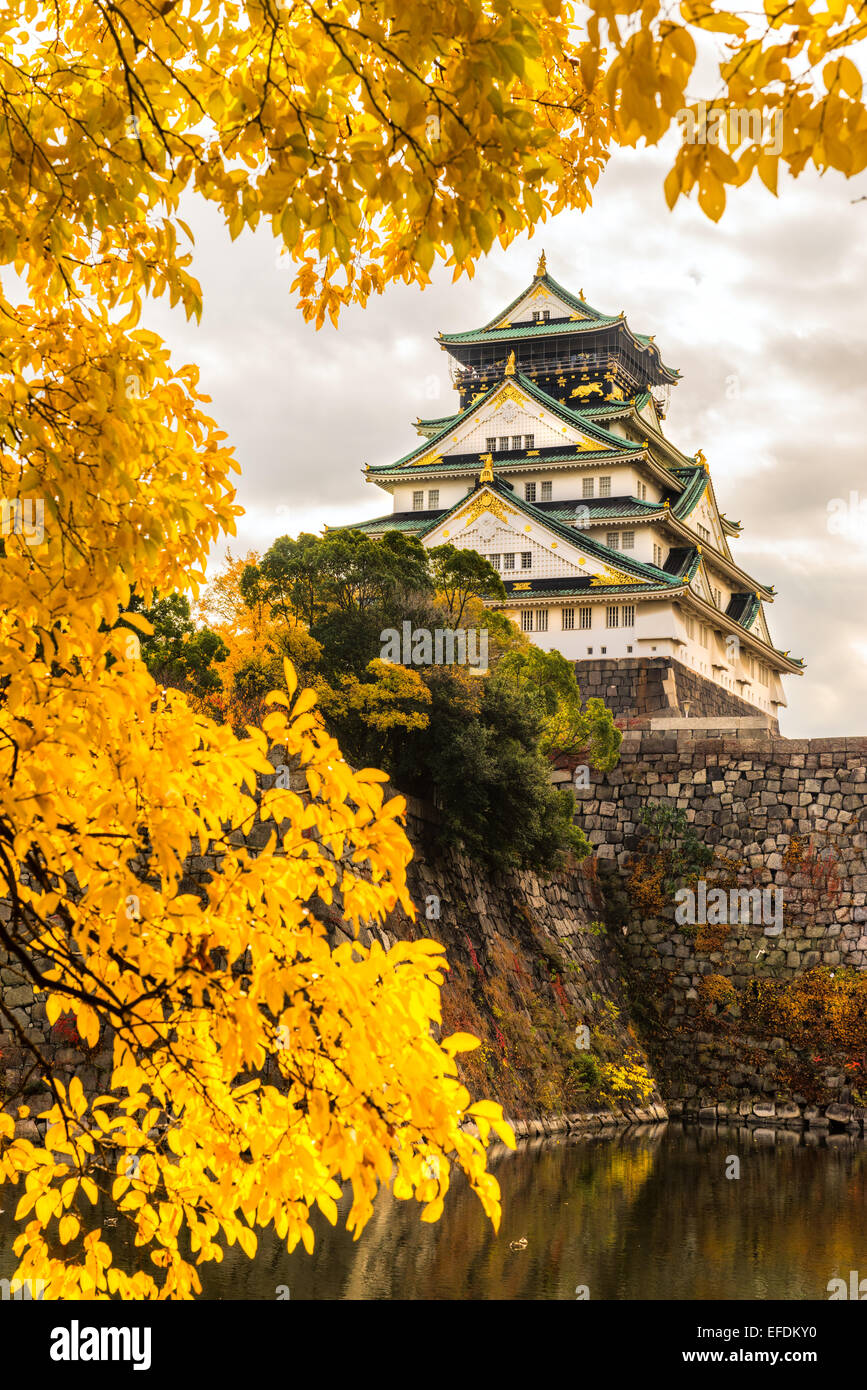 Osaka Castle in Osaka with autumn leaves. Japan Stock Photo - Alamy