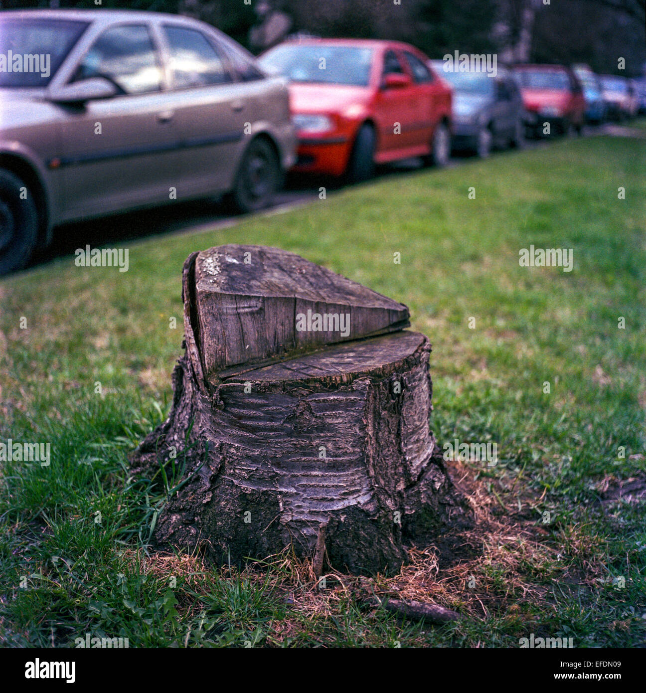 Remnants of Tree stump, cars parked tree in suburban place Stock Photo ...
