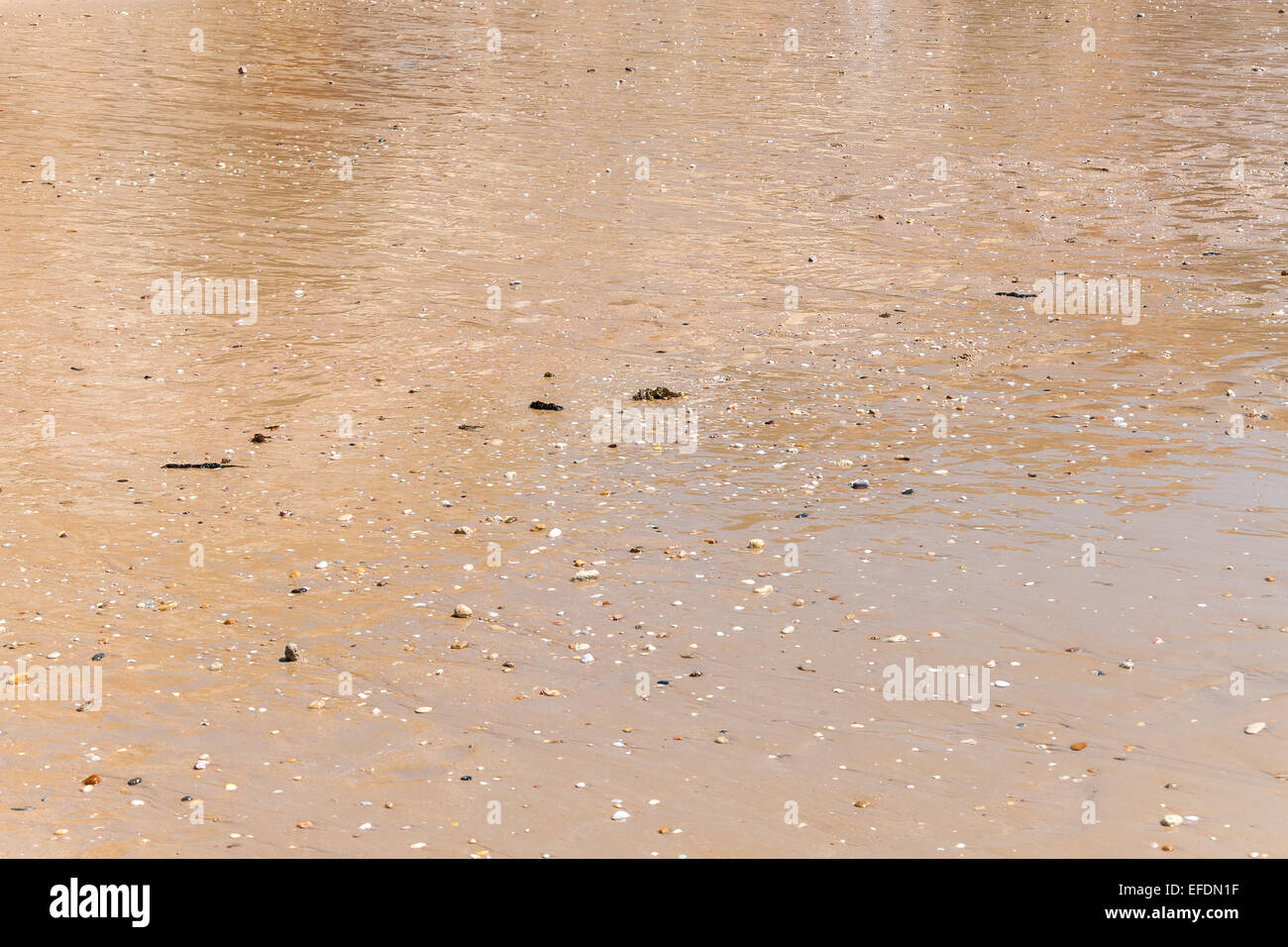 Background made of wet sand and pebbles Stock Photo - Alamy