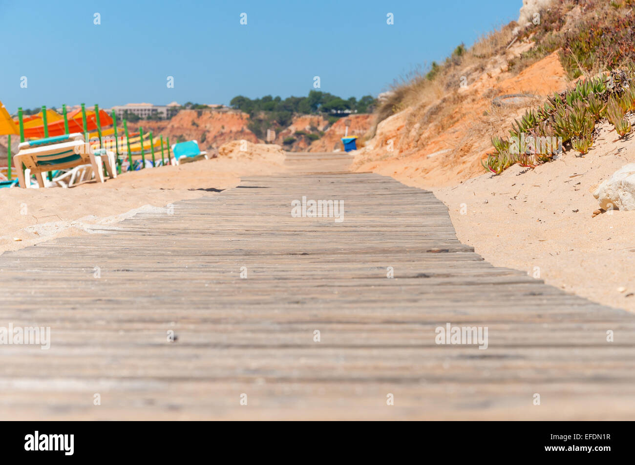 Praia da falesia wooden path hi-res stock photography and images - Alamy