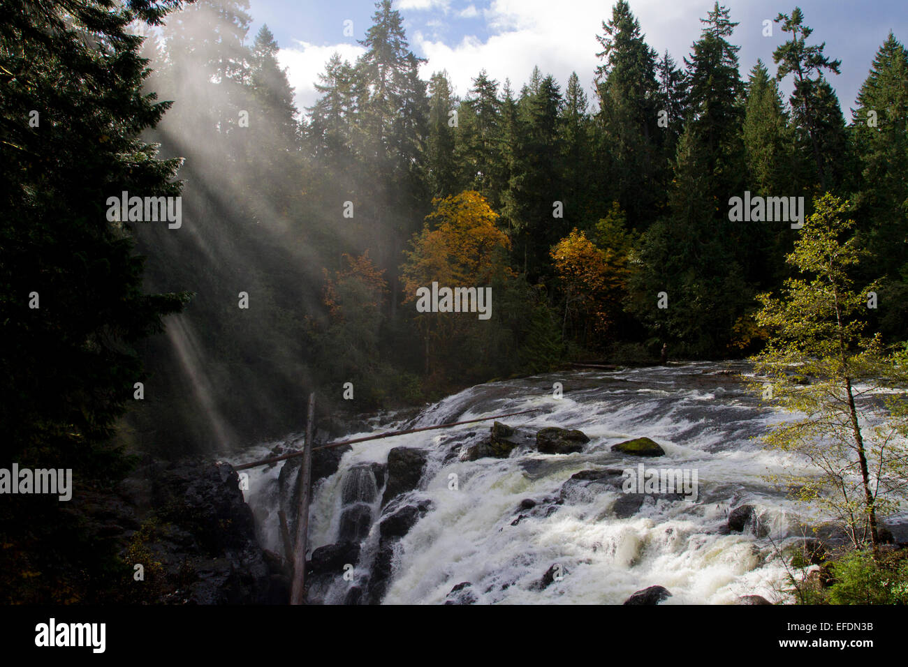 Autumn view of trees, river and falls at Englishman River Falls ...