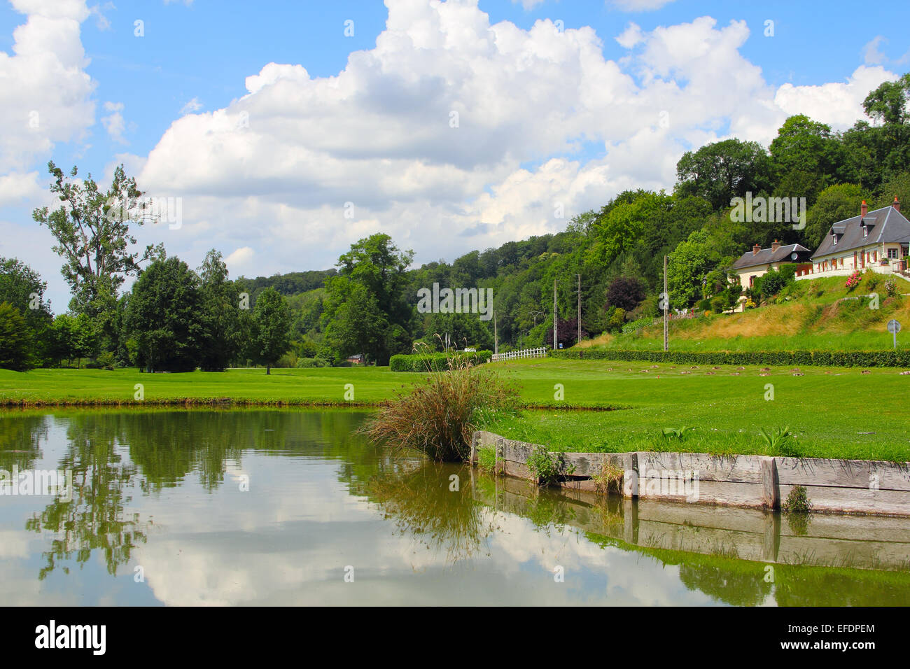 Pure lake in summer park at sunny day Stock Photo - Alamy