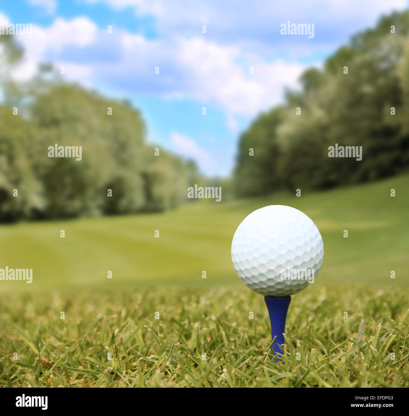Golf ball on course with beautiful blurry landscape on background Stock ...