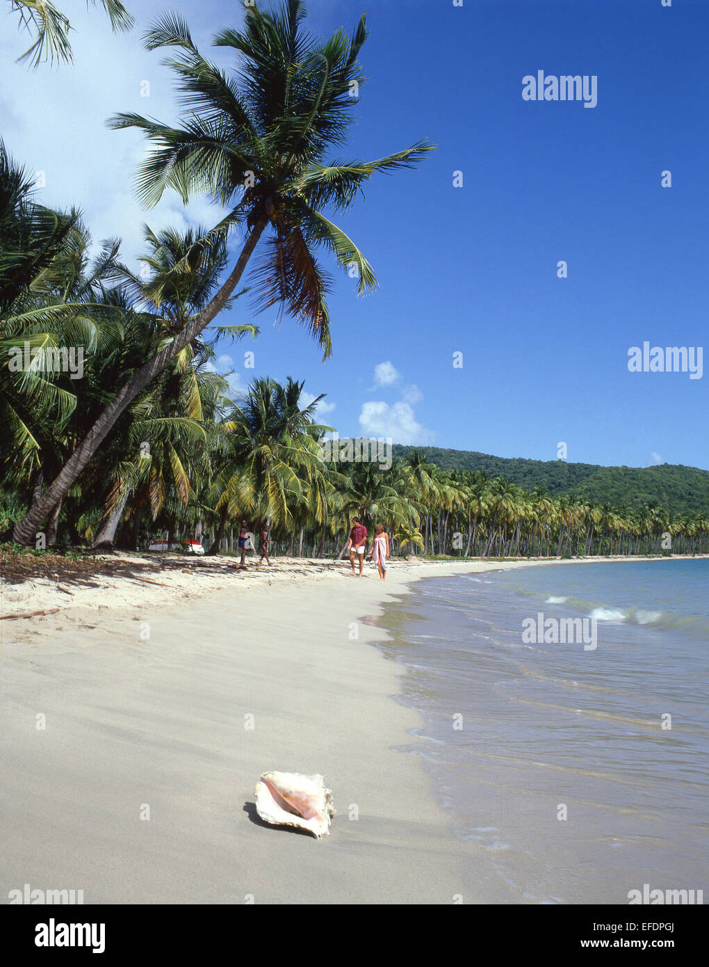 Couple on tropical beach, Antigua, Antigua and Barbuda, Lesser Antilles ...