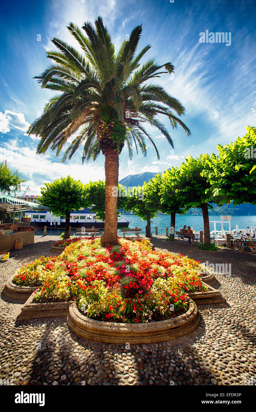 Bellagio Lakeside Park View, Lake Como, Lombardy, Italy Stock Photo - Alamy