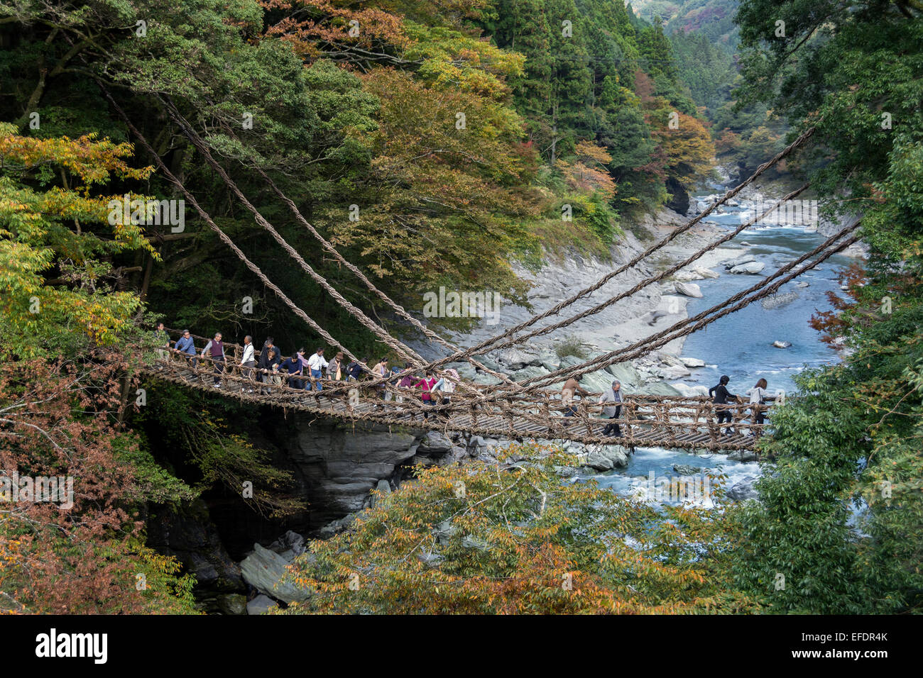 The Kazuabashi Suspension bridge, Shikoku Island, Japan Stock Photo - Alamy